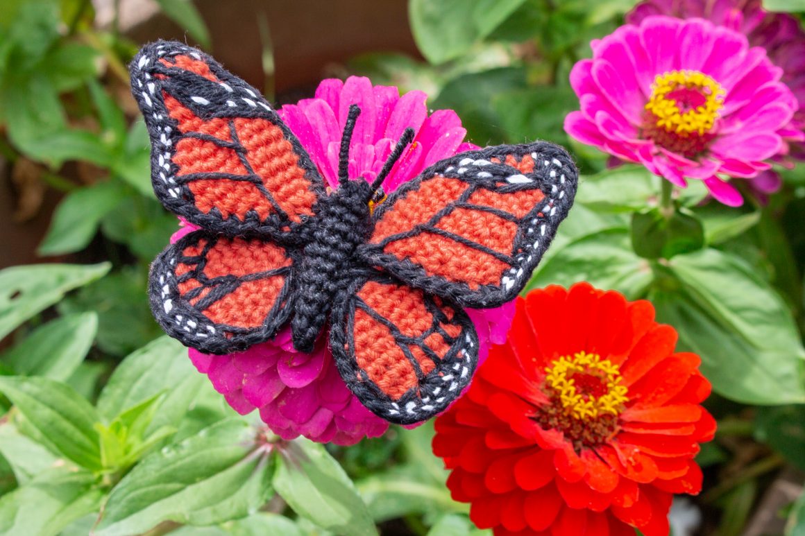 PATRÓN GRATIS Mariposa Monarca Amigurumi - Crochetisimo