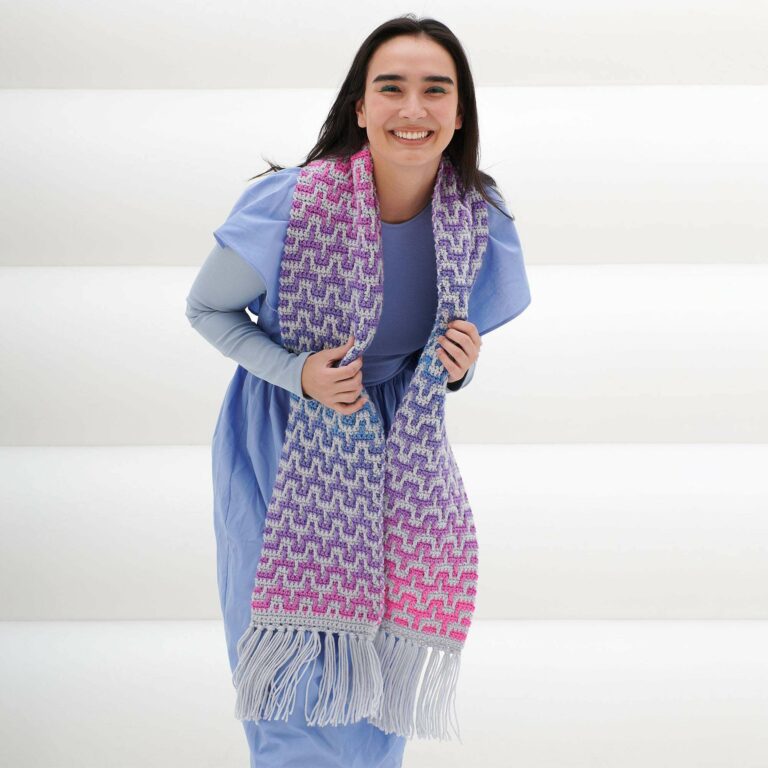 PATRÓN GRATIS Cojín Degradado Dimensional a Crochet