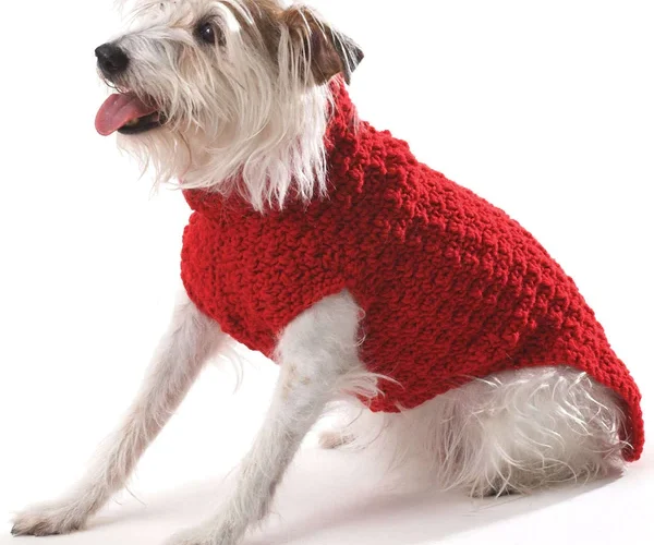 Abrigo Norway para Mascota Patrón en Crochet Gratis